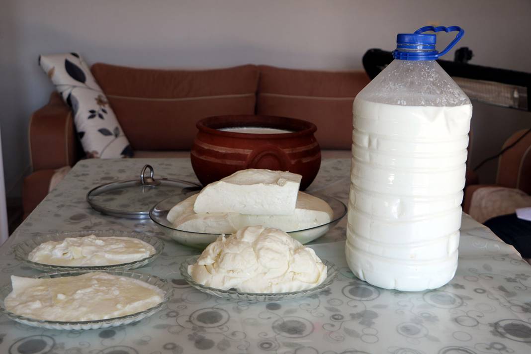 Müşterisi her geçen gün arttı! Manda sütü talebine yetişemiyor - KARAR