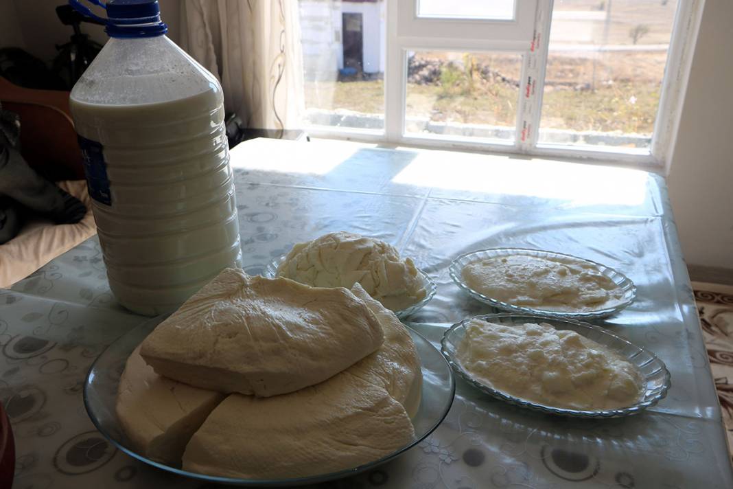 Müşterisi her geçen gün arttı! Manda sütü talebine yetişemiyor