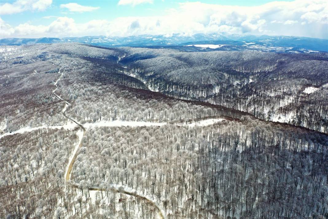 Kovid-19'un gözdesi: Binlerce kişiyi ağırlıyor