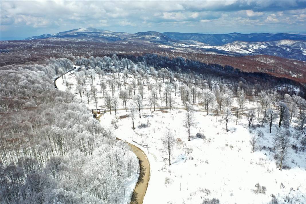 Kovid-19'un gözdesi: Binlerce kişiyi ağırlıyor