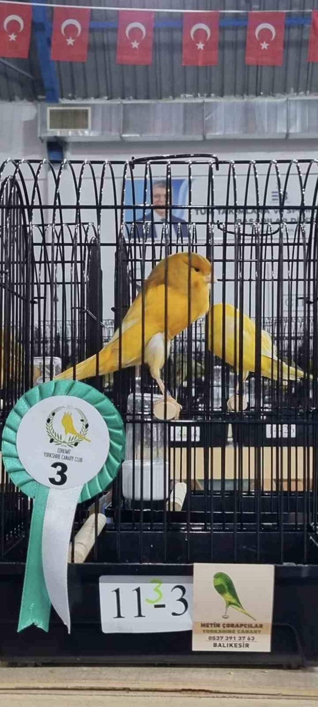Büyüklüğünü görünce gözleri fal taşı gibi açıldı! Hayran hayran ...