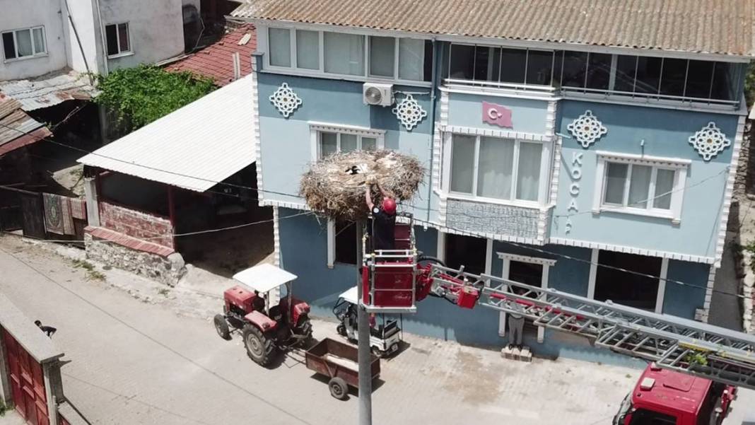 Yaren leylek ile eşi Nazlı'dan 10 gün sonra sevindiren haber! Su ve ...