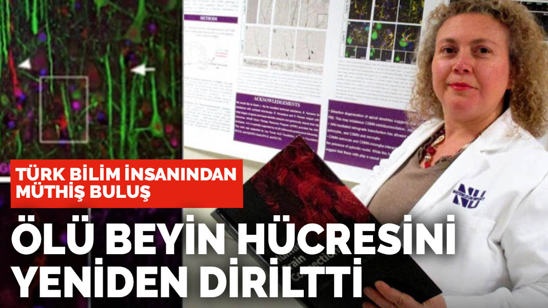 Doç. Dr. Hande Özdinler ölü beyin hücresini yeniden canlandırmayı ...
