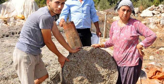 Antalya'da çalba otundan yaptıkları elma yağını kilosu 450 liradan ...