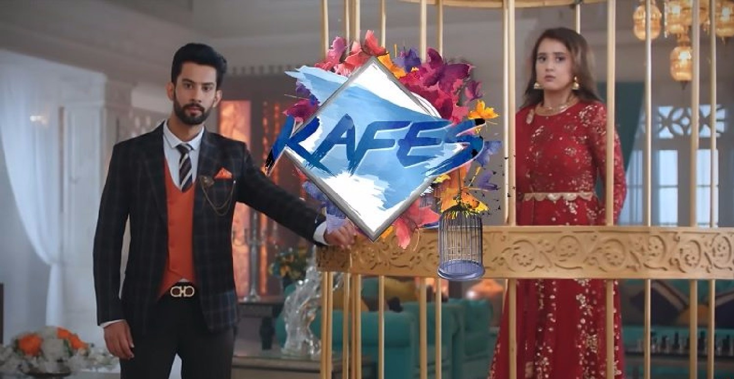 Kafes dizi konusu ve oyuncuları