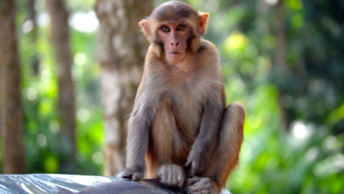 İnsanlık tarihini değiştirecek keşif: İnsanların yaptığı düşünülen 50 ...