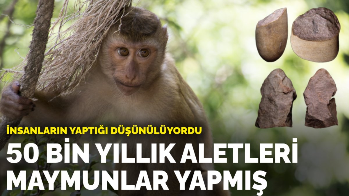 İnsanlık tarihini değiştirecek keşif: İnsanların yaptığı düşünülen 50 ...