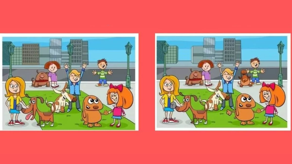 Sadece keskin zekaya sahip olanlar iki resim arasındaki 6 farkı bulabiliyor! Gizli farkları ...