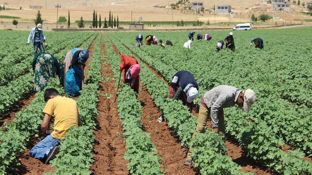uzmanlardan-kritik-uyar-13-milyon-i-i-tehdit-alt-nda