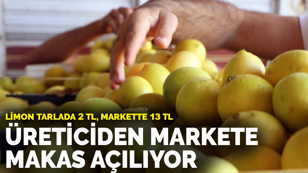 Üreticiden markete makas açılıyor: Limon tarlada 2 TL, markette 13 TL ...