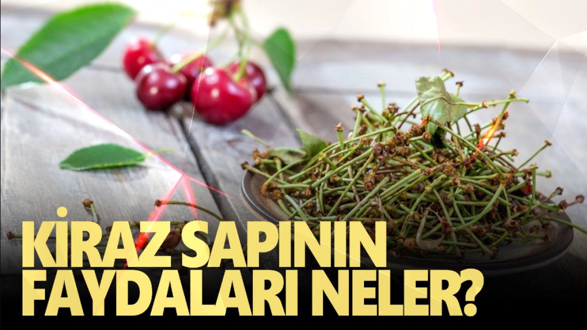Kiraz Sapının Faydaları Ve Kullanımı