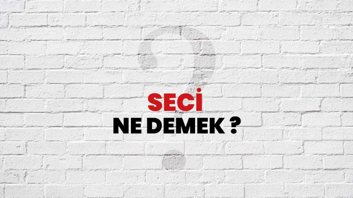 Seci Nedir? - KARAR