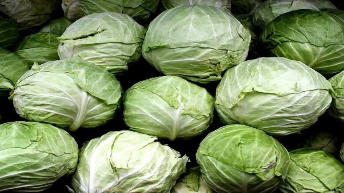 Lahana yemeden önce bunları bilin - KARAR