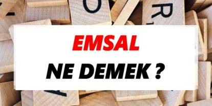 Emsal Ne Demek? Anlamı ve Örnekler - KARAR