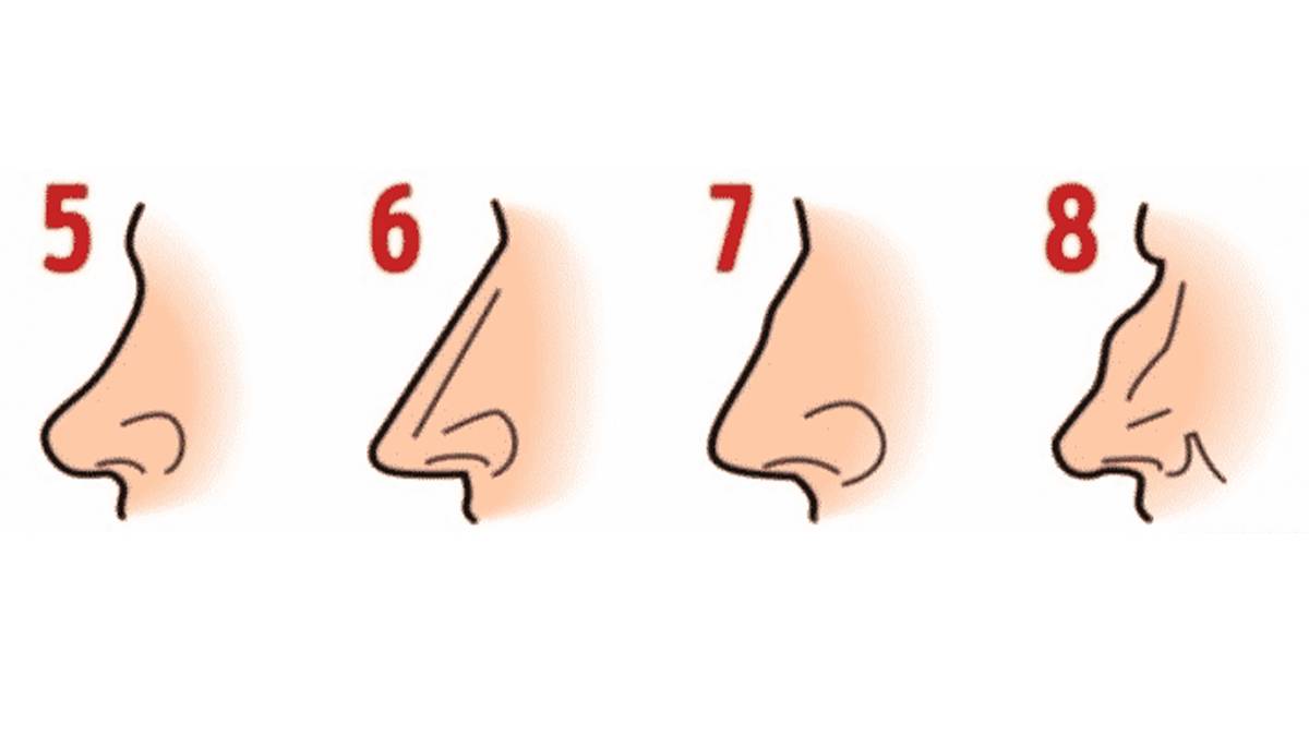 Burnunuzun şekli kişiliğinizi açığa çıkarıyor! İşte karakter ...