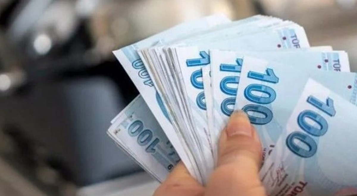 TCKN 2,4,6 olanların hesabına 3751 TL yatırıldı! Az önce duyuruldu ...