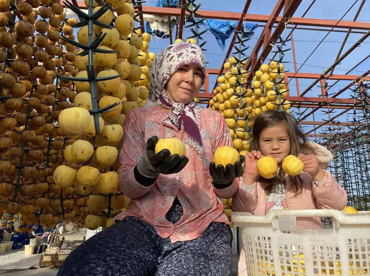 Tam bir şifa deposu! Kilosu 200 TL'den satılıyor! Taleplere yetişemiyorlar!