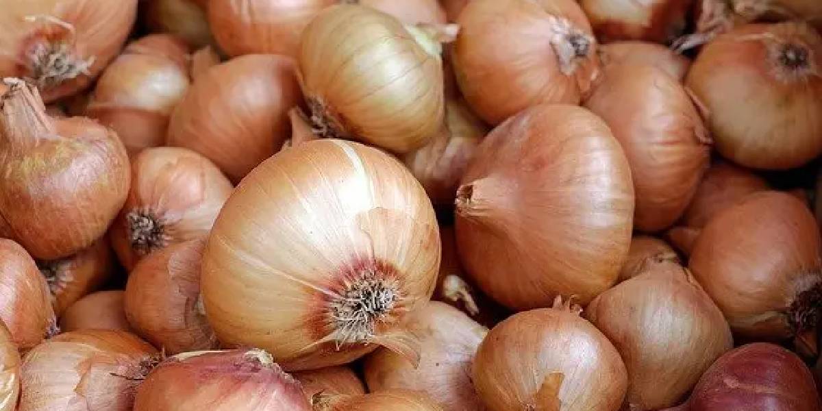 Soğanların çürümesi meğer bu yüzdenmiş! Kış boyu sulu ve lezzetli ...